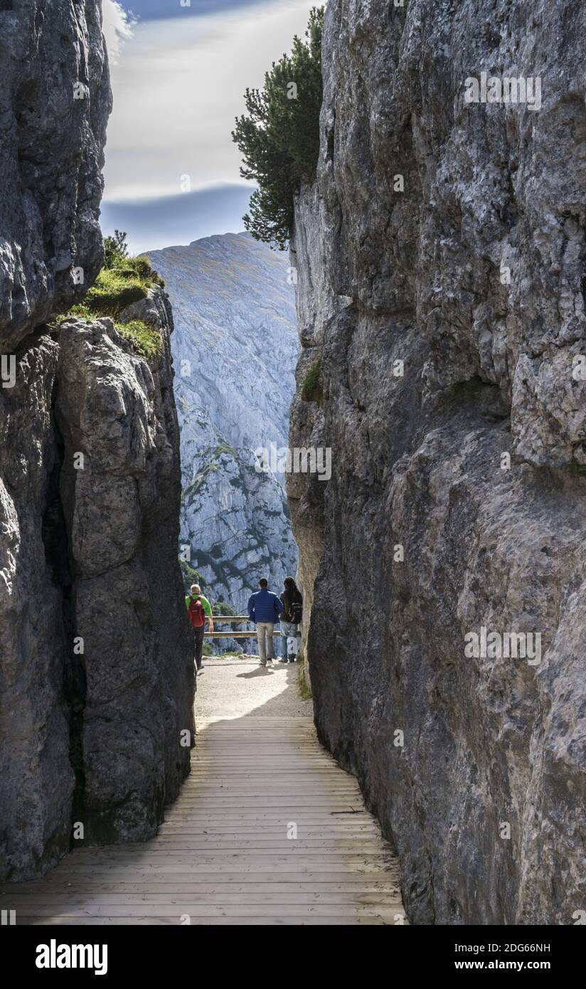 Small ravine hi-res stock photography and images - Alamy