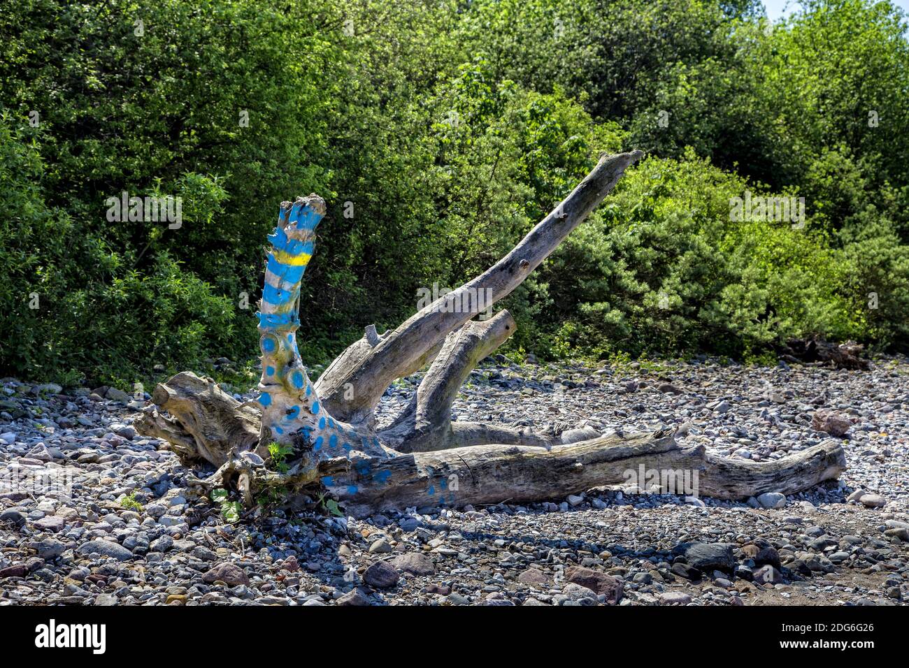 Withered branch hi-res stock photography and images - Alamy