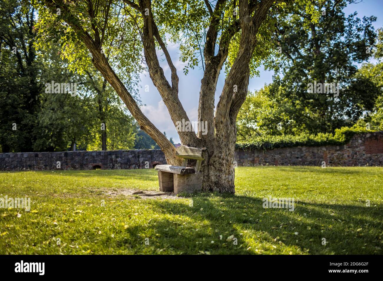Under the trees Stock Photo - Alamy