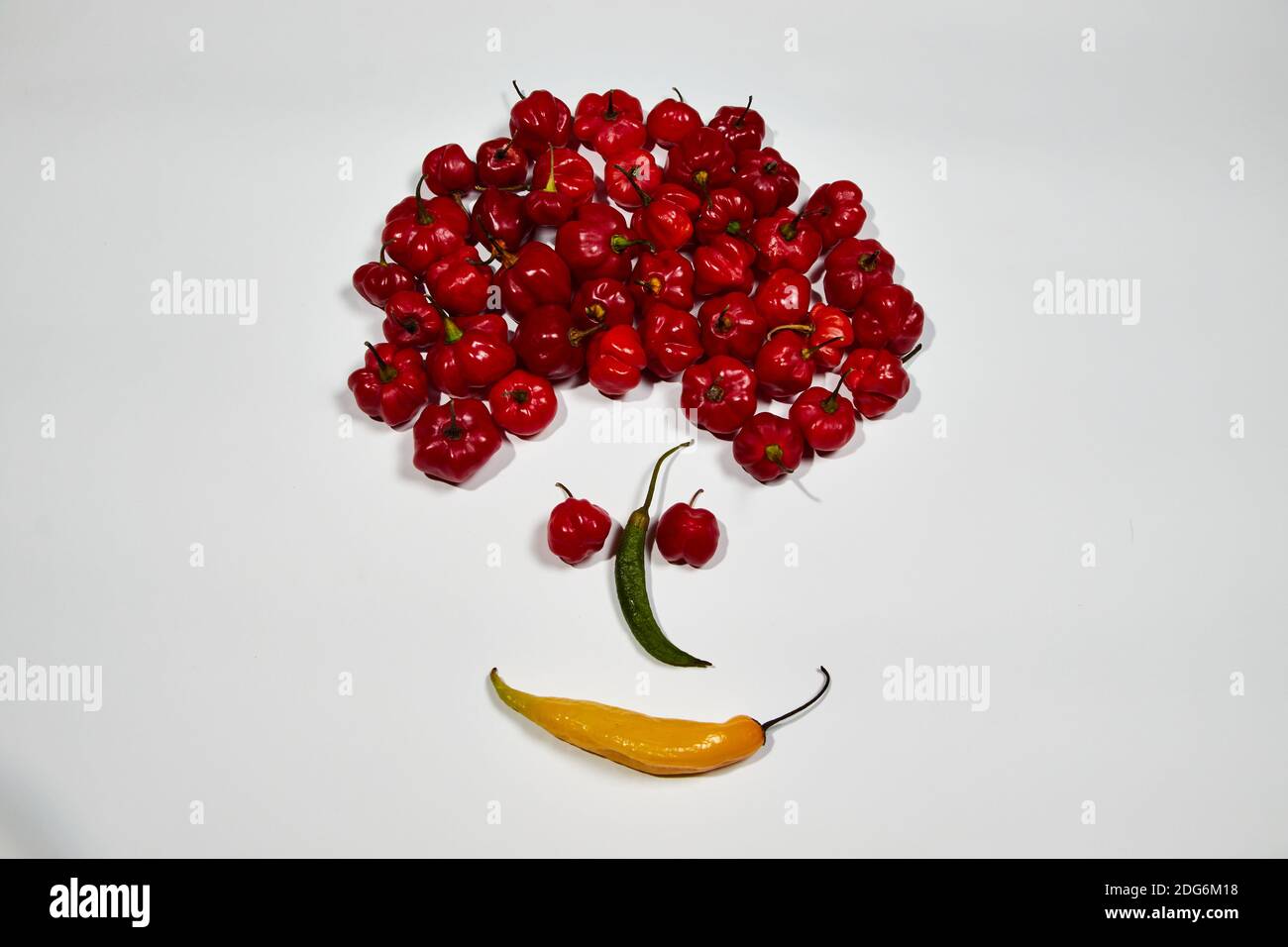 Vegetable chilli, chile face on white backgroung Stock Photo - Alamy