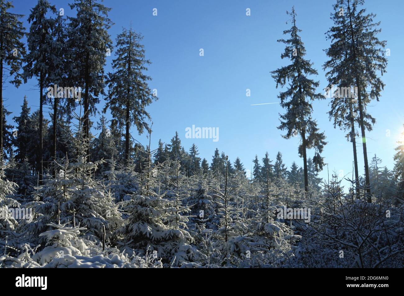 Eifel national park hi-res stock photography and images - Alamy