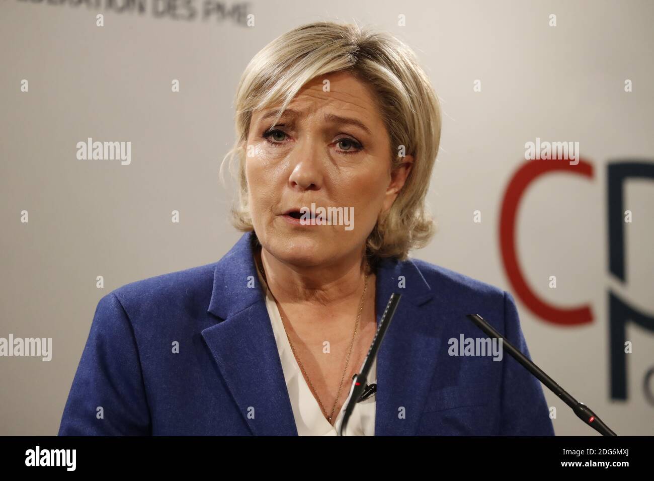 2017 Presidential election candidate for the Front National party ...