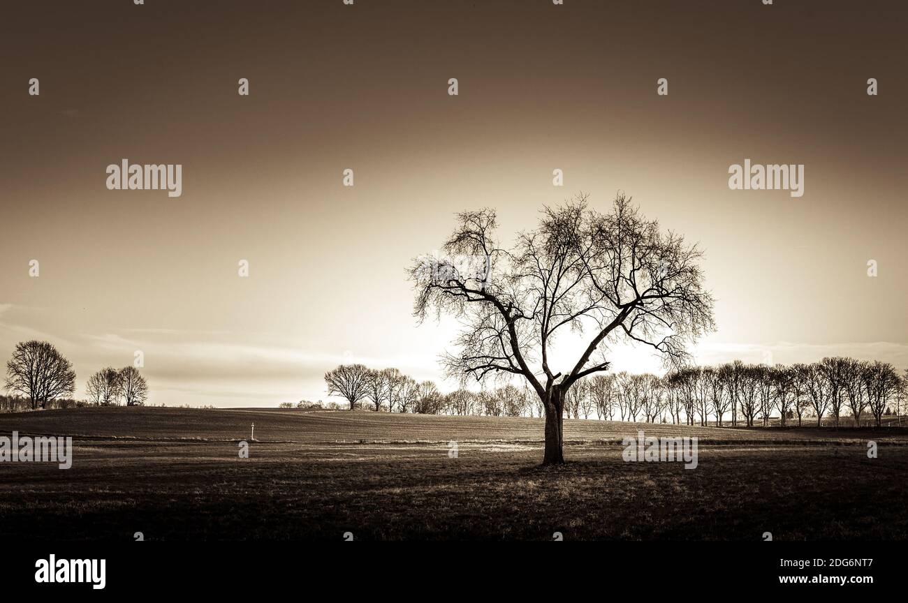 Without snow hi-res stock photography and images - Alamy