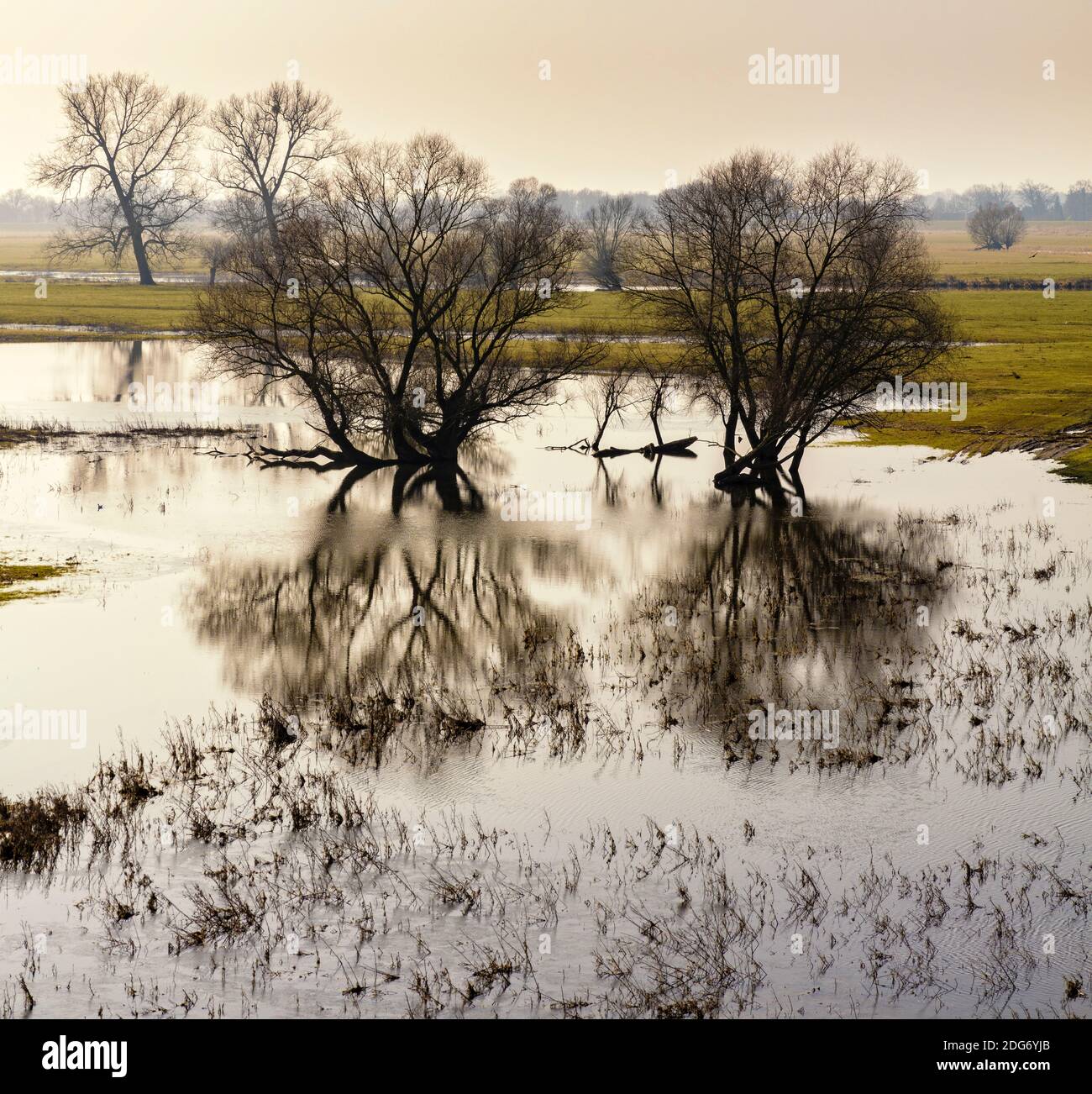 River plain hi-res stock photography and images - Alamy
