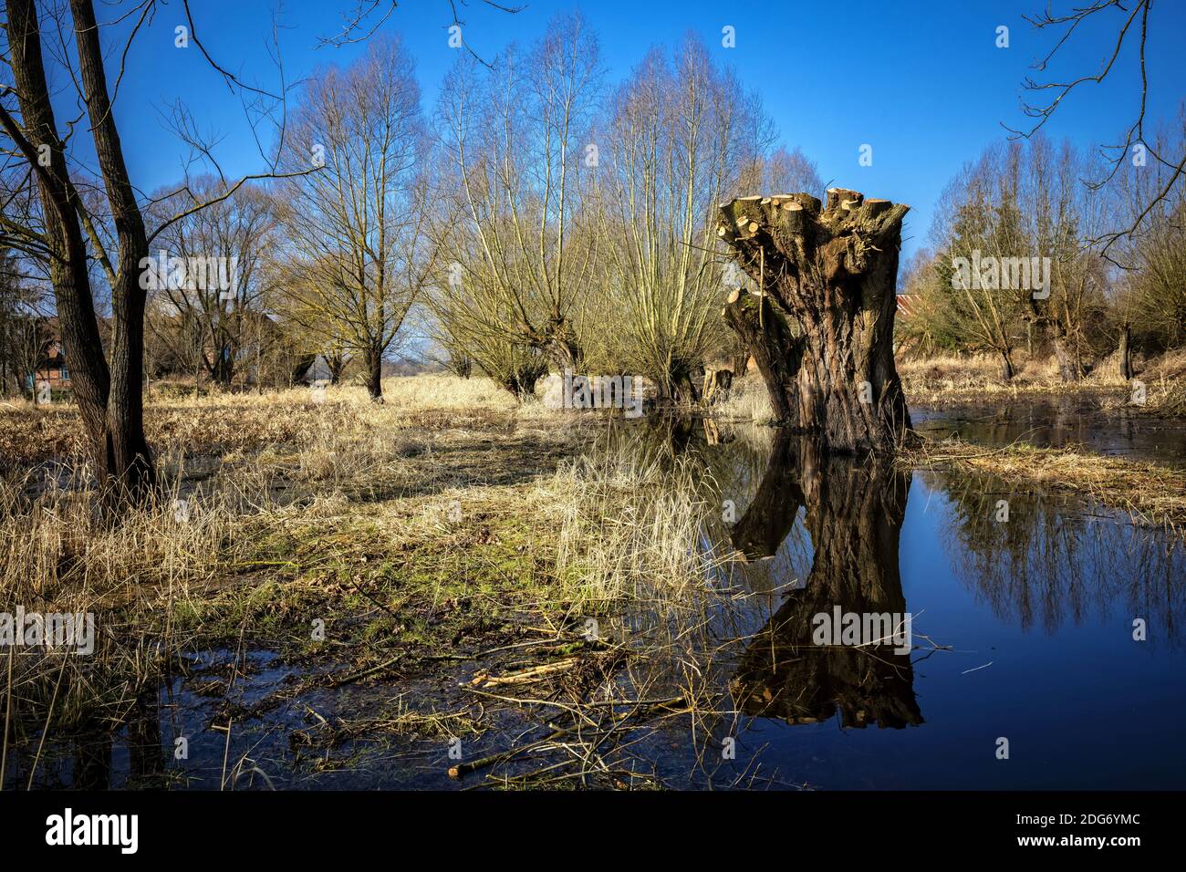 River plain hi-res stock photography and images - Alamy