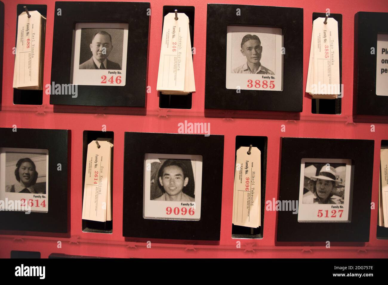 World war 2 id cards hi-res stock photography and images - Alamy