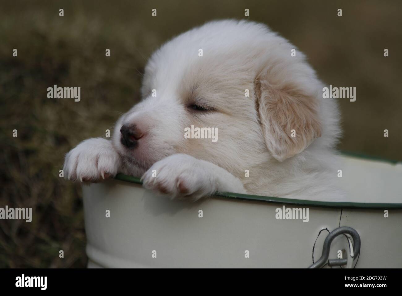 Screwed up hi-res stock photography and images - Alamy