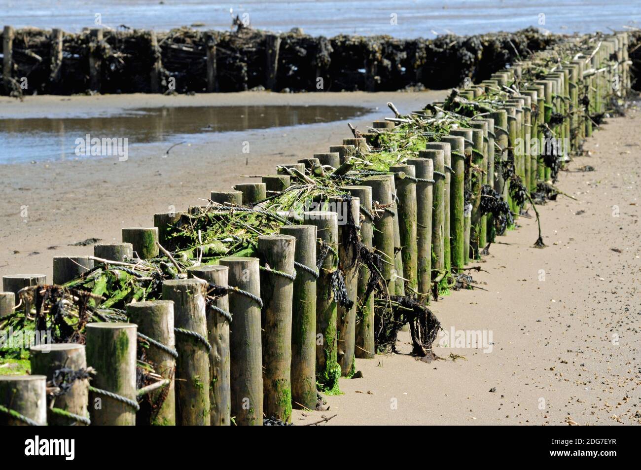 Fascine in this context Stock Photo - Alamy