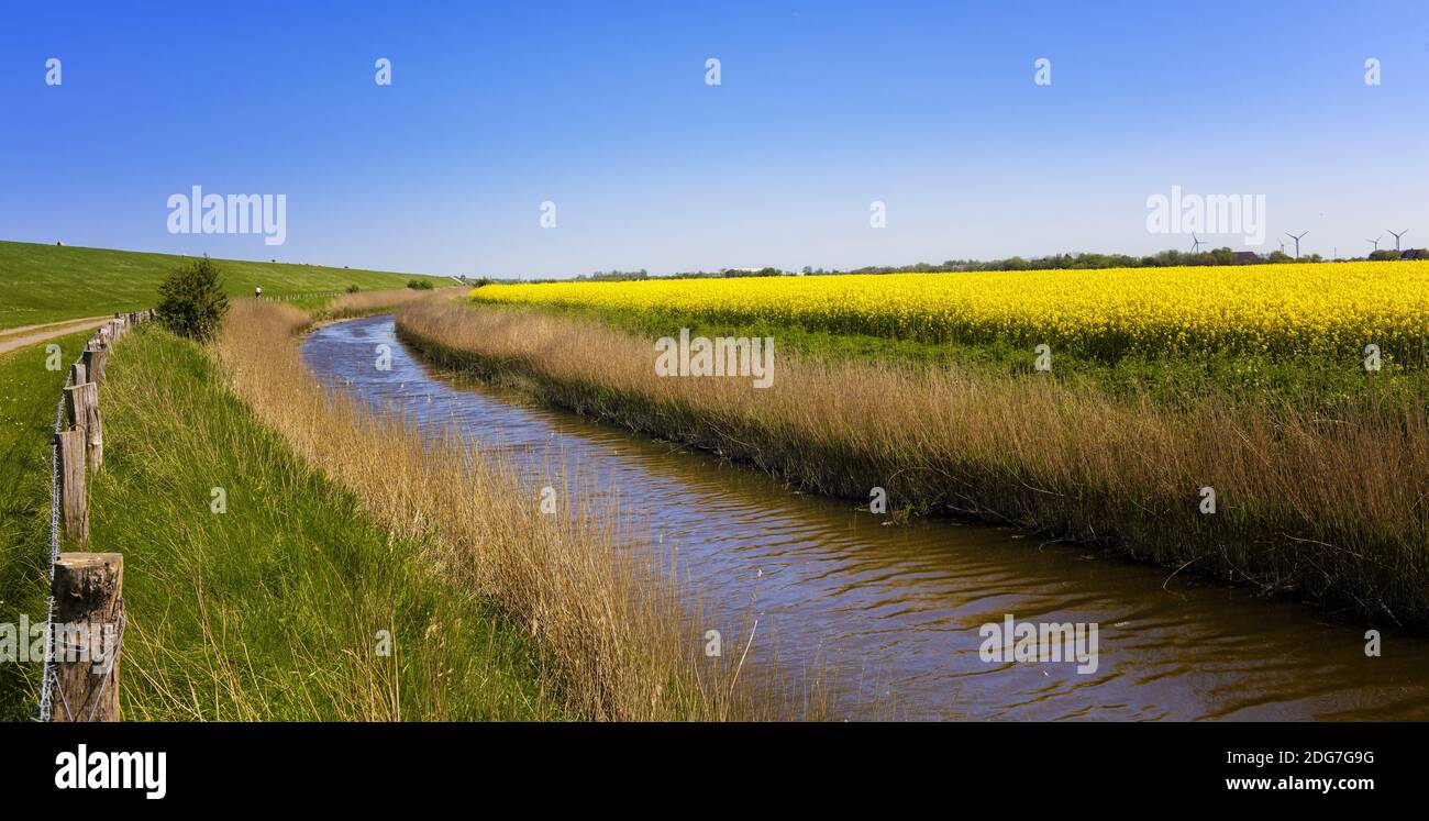 North german plain hi-res stock photography and images - Alamy North german plain hi-res stock photography and images - Alamy