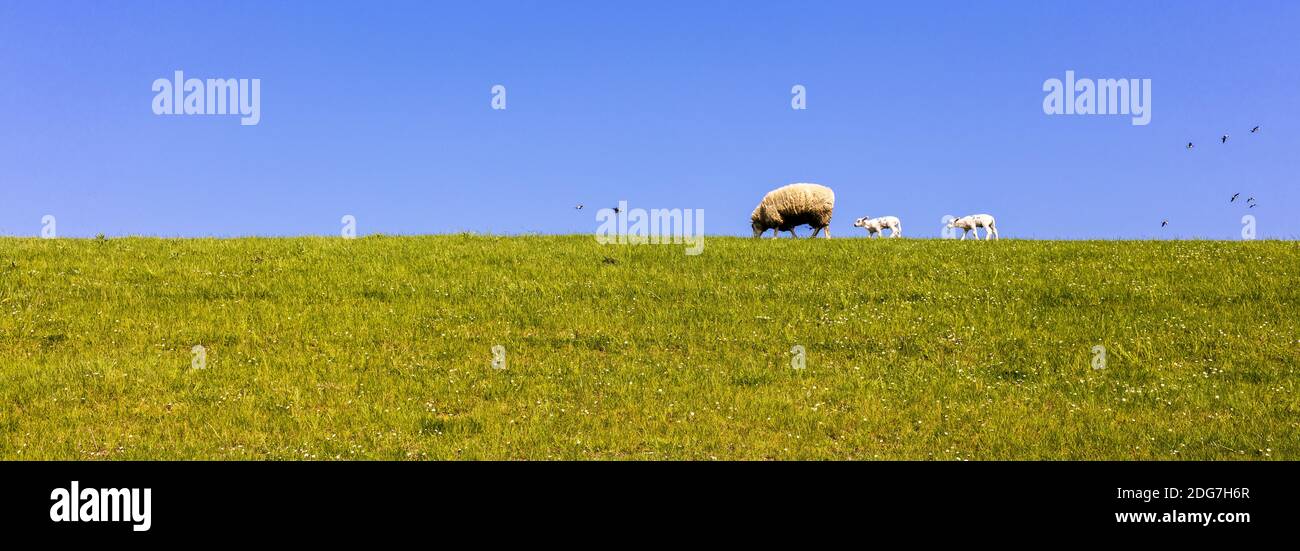 Younger generation hi-res stock photography and images - Alamy