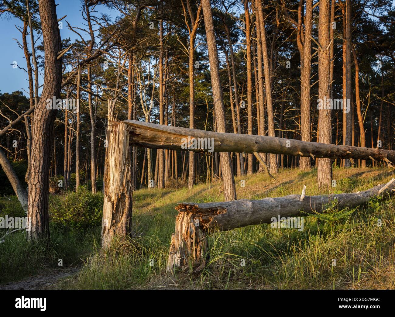 Breaking point hi-res stock photography and images - Alamy