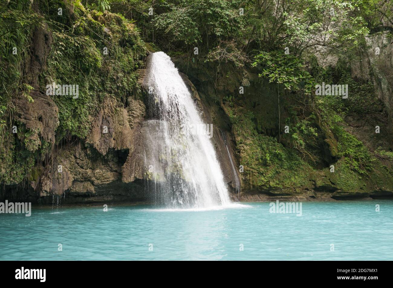 Philippines jungle hi-res stock photography and images - Alamy