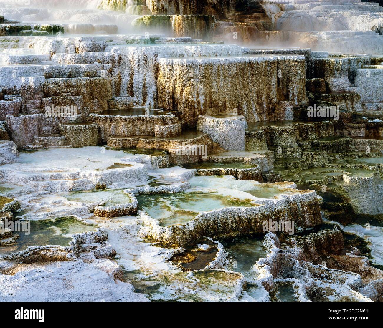 Minerva springs hi-res stock photography and images - Alamy