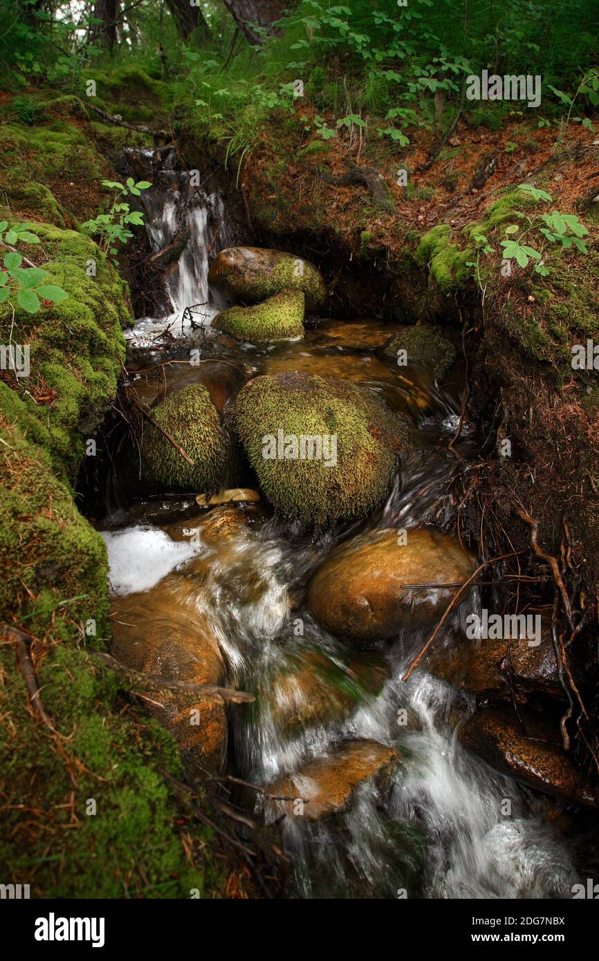 Forest stream flows over moss-covered stones. Long exposure, motion ...