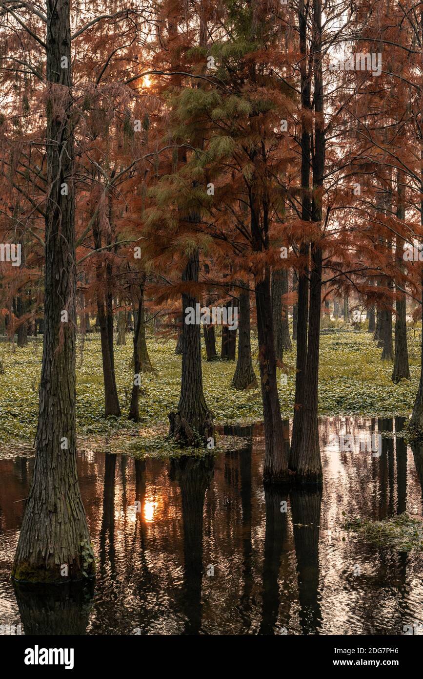 Header pond hi-res stock photography and images - Alamy