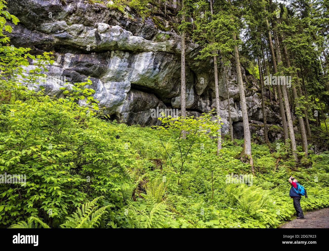 Dimensions in the forest Stock Photo - Alamy