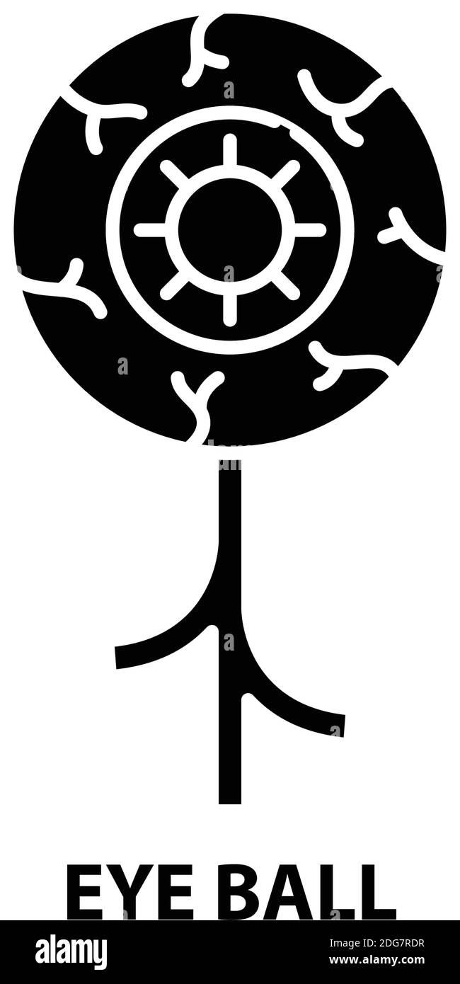 eye ball icon, black vector sign with editable strokes, concept ...