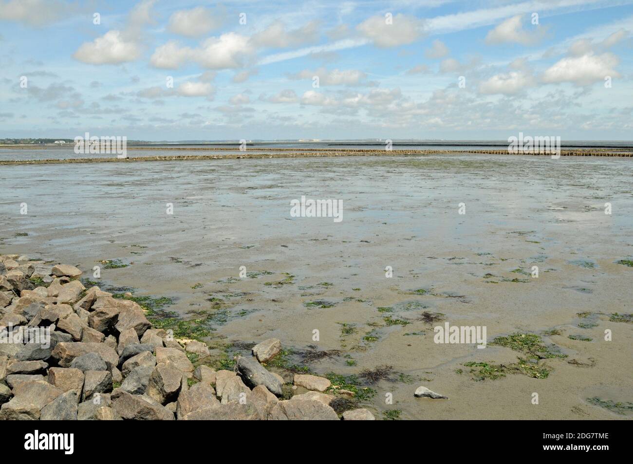 Wadden see national park hi-res stock photography and images - Alamy