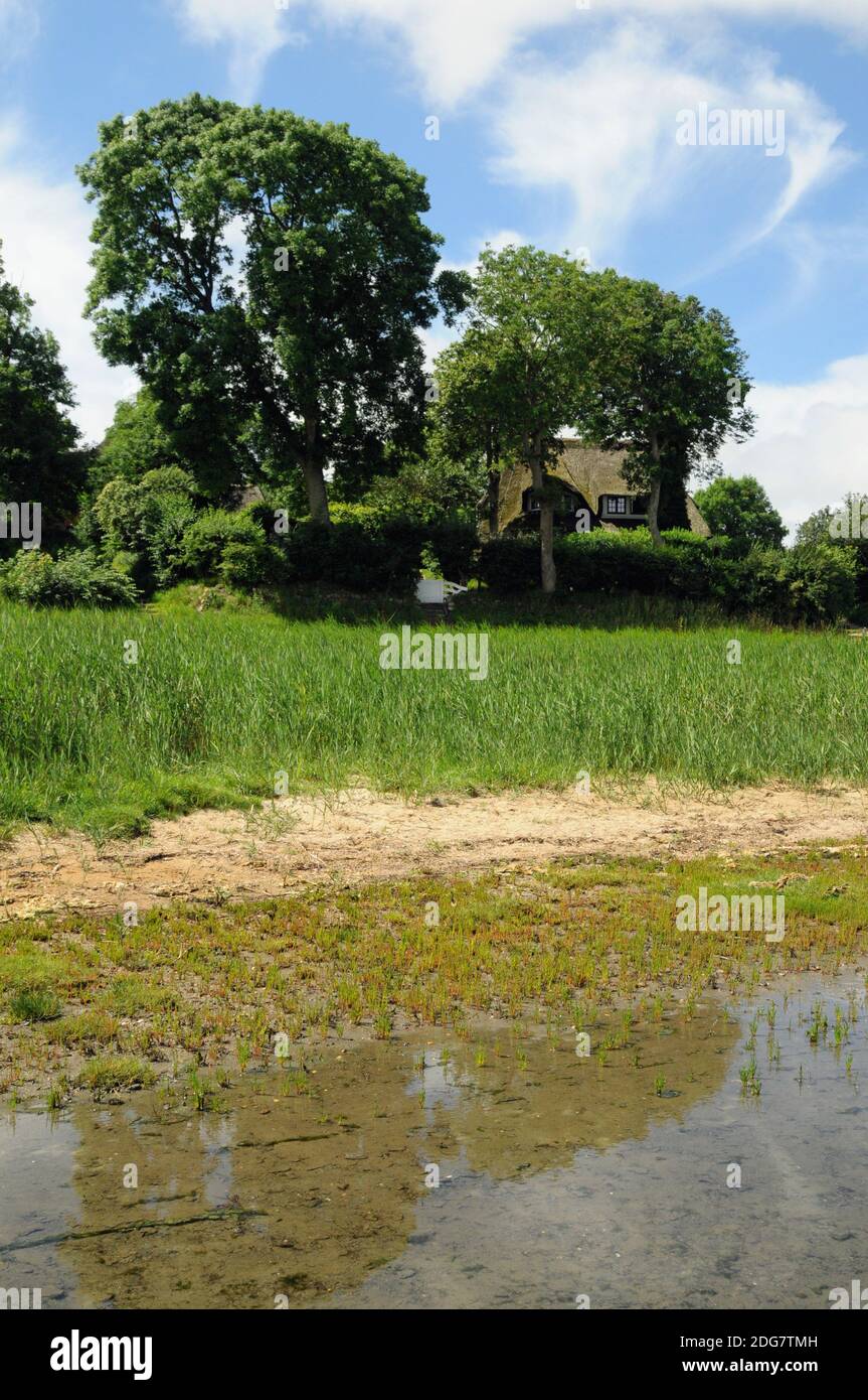 Riparian hi-res stock photography and images - Alamy