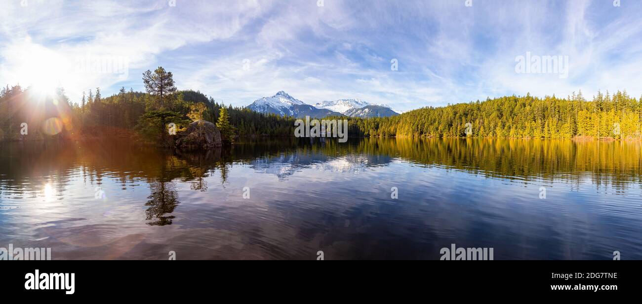 Levette High Resolution Stock Photography and Images - Alamy