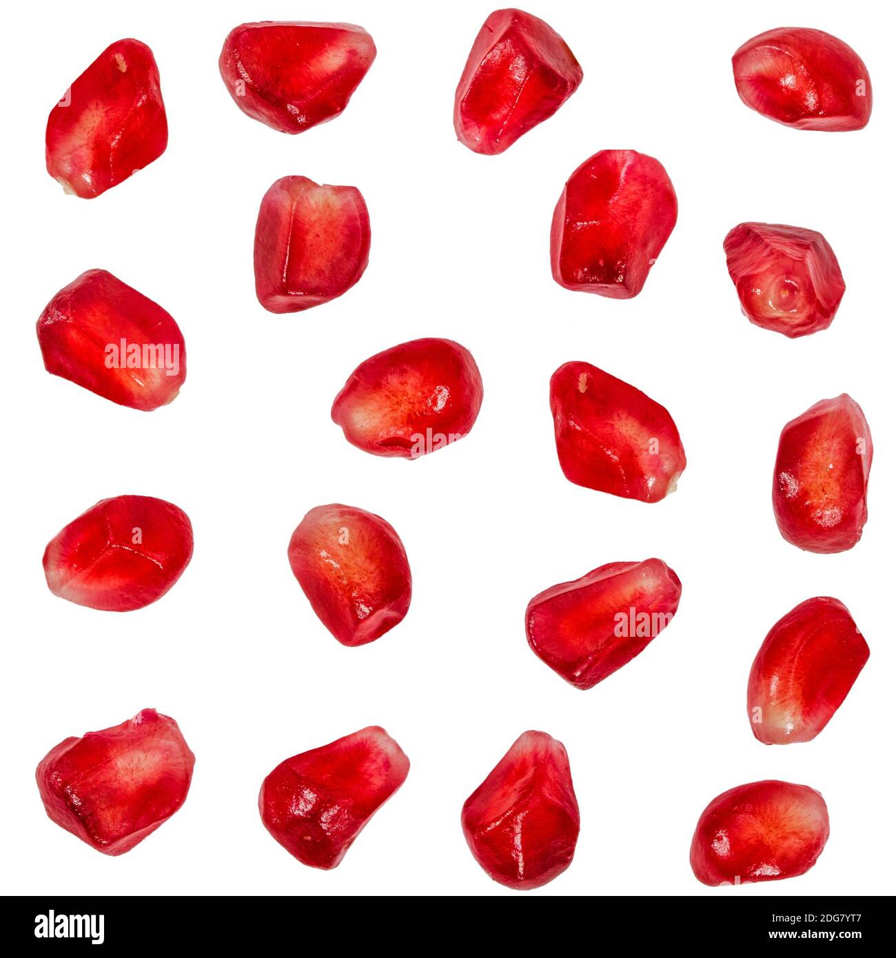 Seed collection hi-res stock photography and images - Alamy
