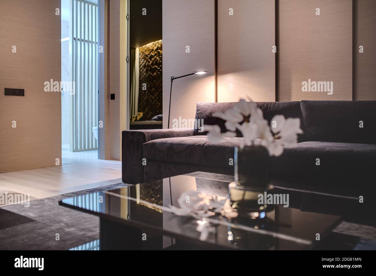 Modern style sitting-room Stock Photo - Alamy