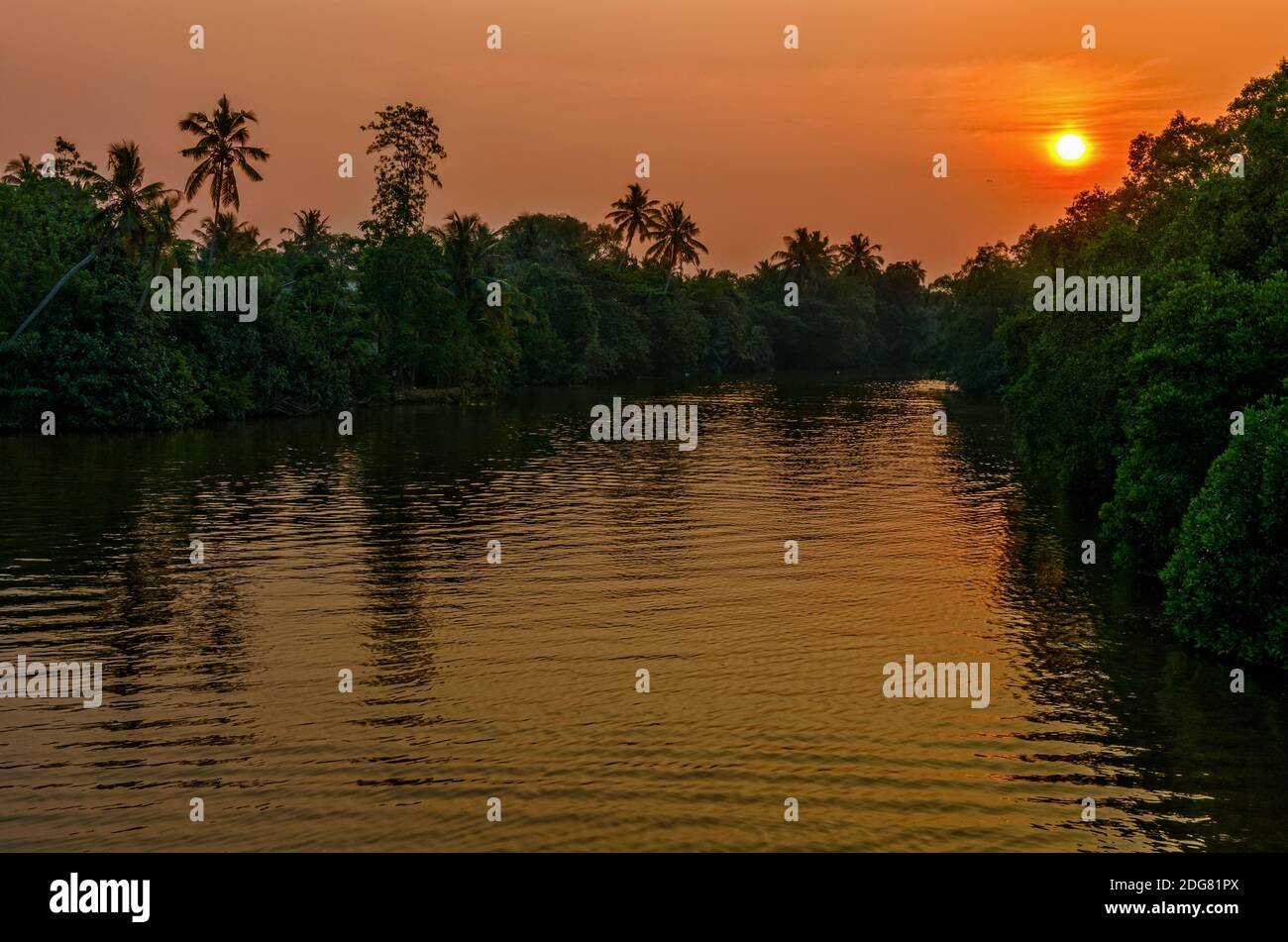 Sunset above the river in jungle with trees along the banks. Forest ...