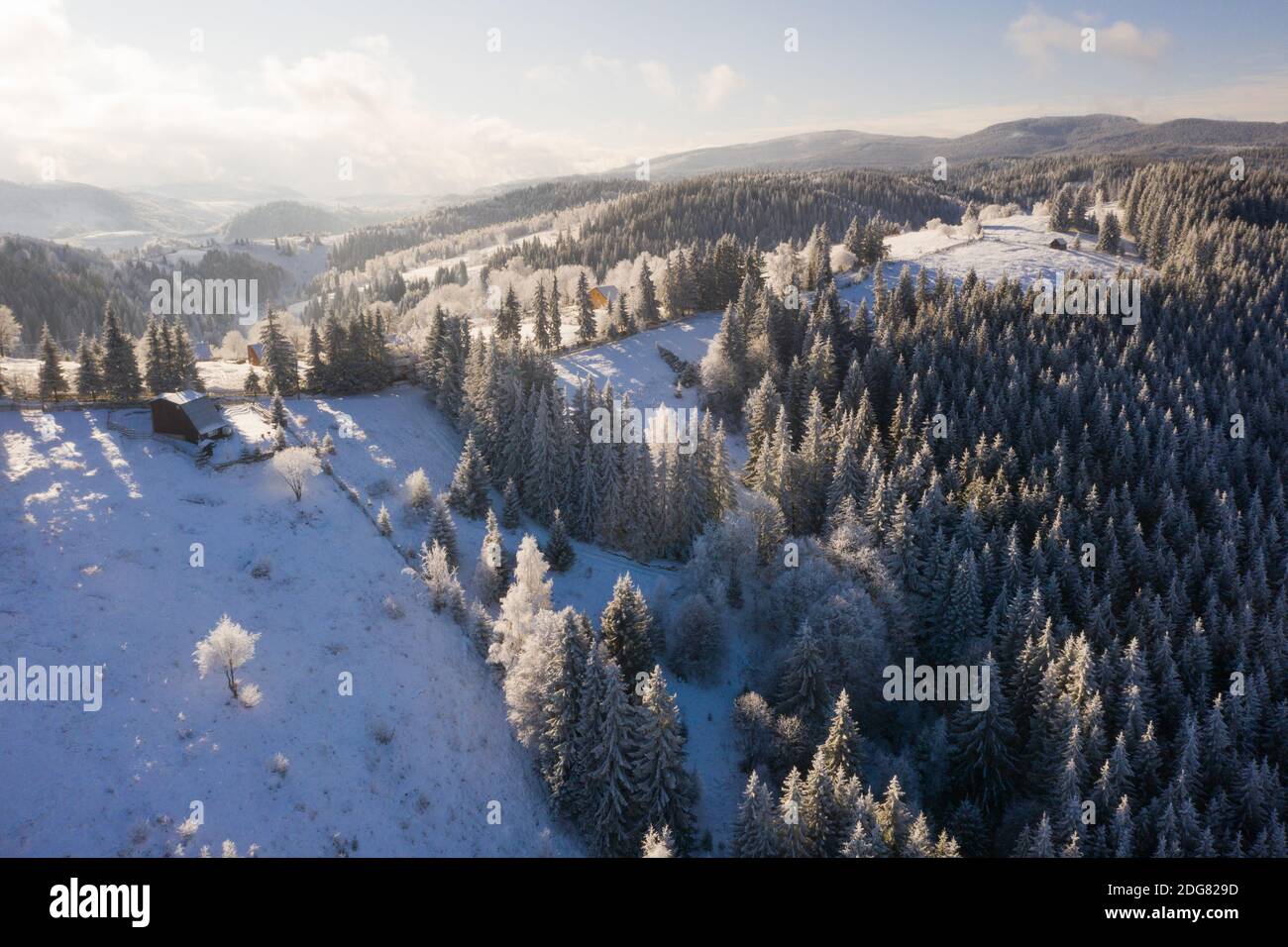 Aerial view of idyllic winter landscape with frozen trees in ...