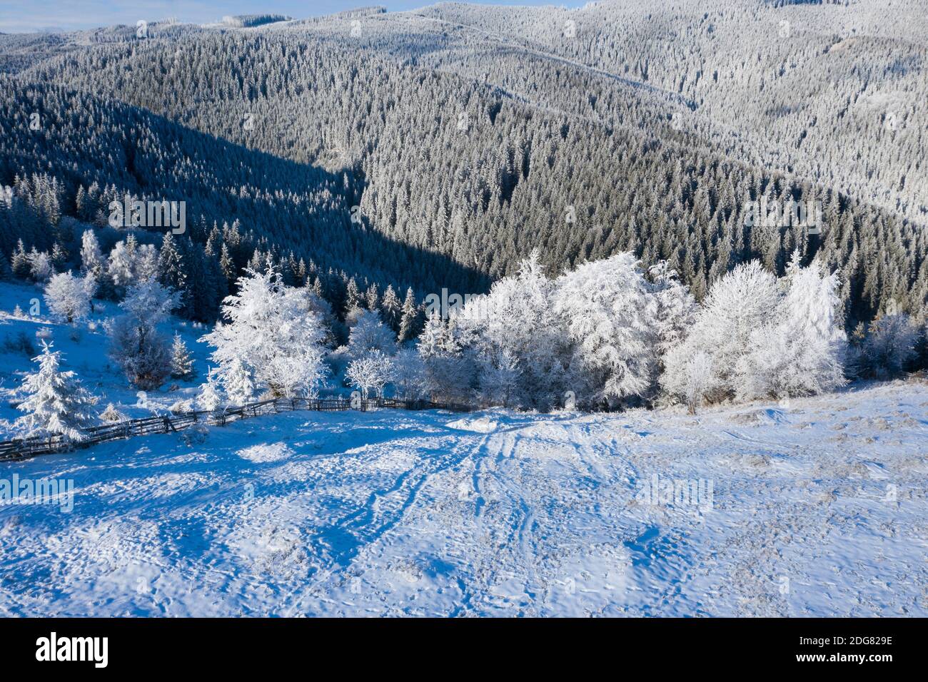 Aerial view of idyllic winter landscape with frozen trees in ...