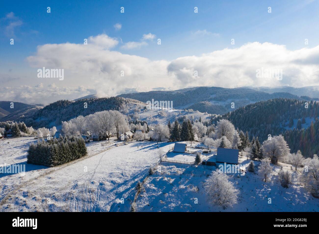 Aerial view of idyllic winter landscape with frozen trees in ...