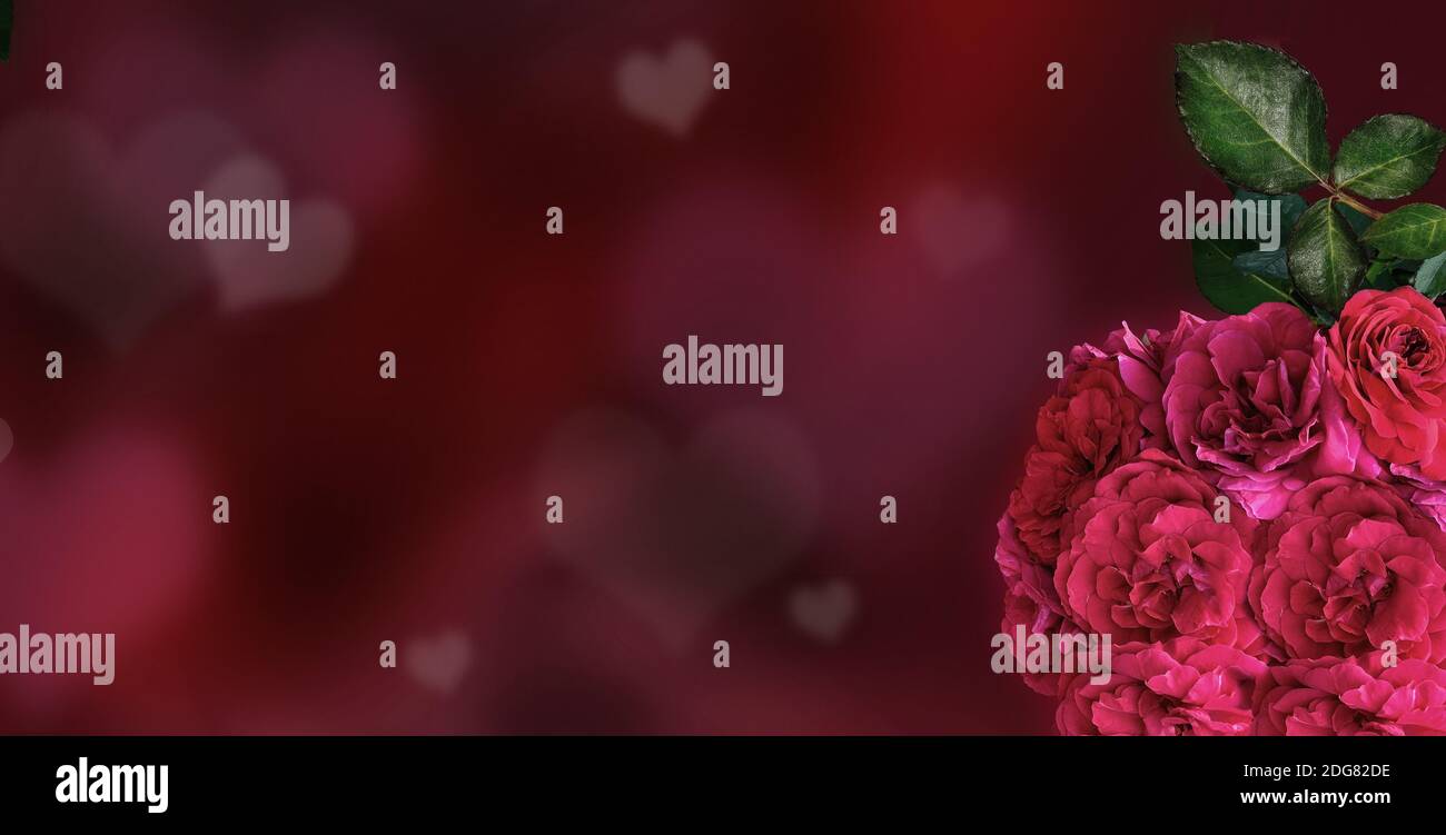 Vintage floral border with pink red rose flowers on love hearts ...