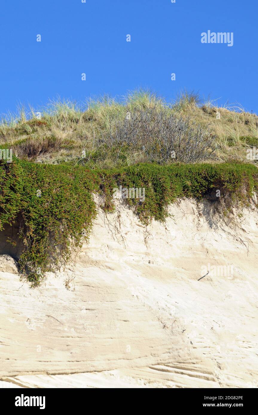 Break off edge hi-res stock photography and images - Alamy