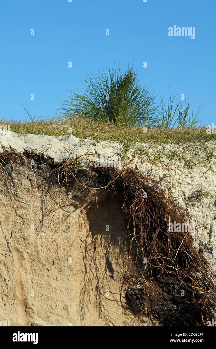 Break off edge hi-res stock photography and images - Alamy