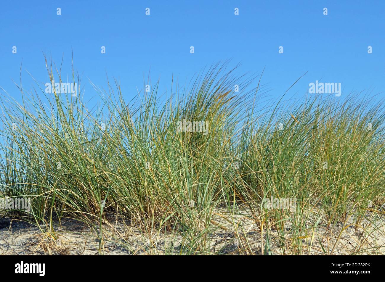 Wind break beach hi-res stock photography and images - Alamy