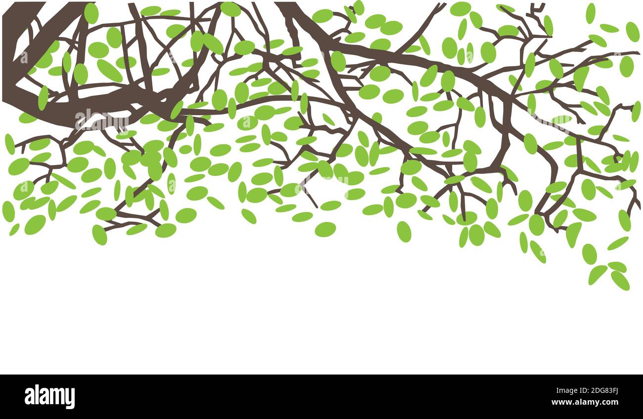 Stylized branches hi-res stock photography and images - Alamy