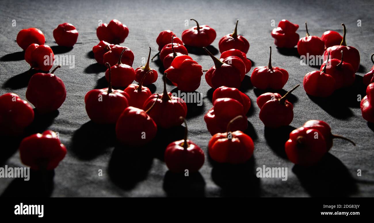Red chilli peppers on black background Stock Photo - Alamy