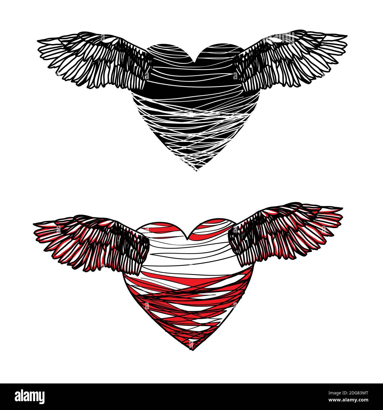 Black winged love bird hi-res stock photography and images - Alamy