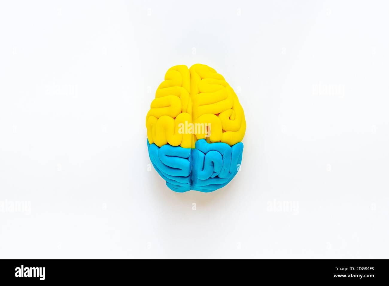 Clay model of human brain. Mental health bckground, top view Stock ...