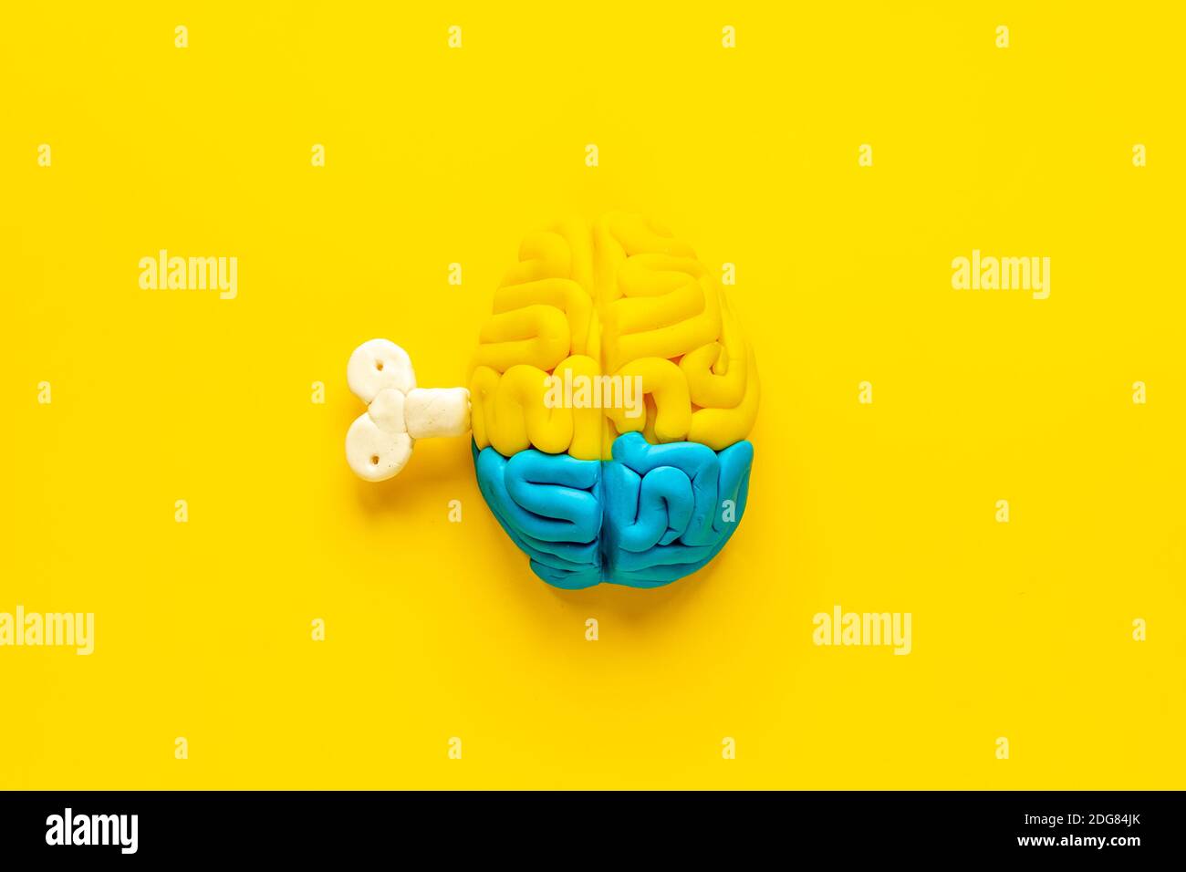 Clay model of human brain. Mental health bckground, top view Stock ...