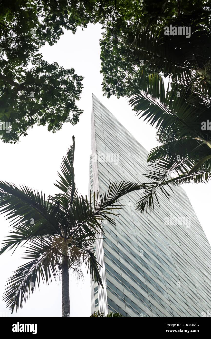 Top skyscraper view hi-res stock photography and images - Alamy