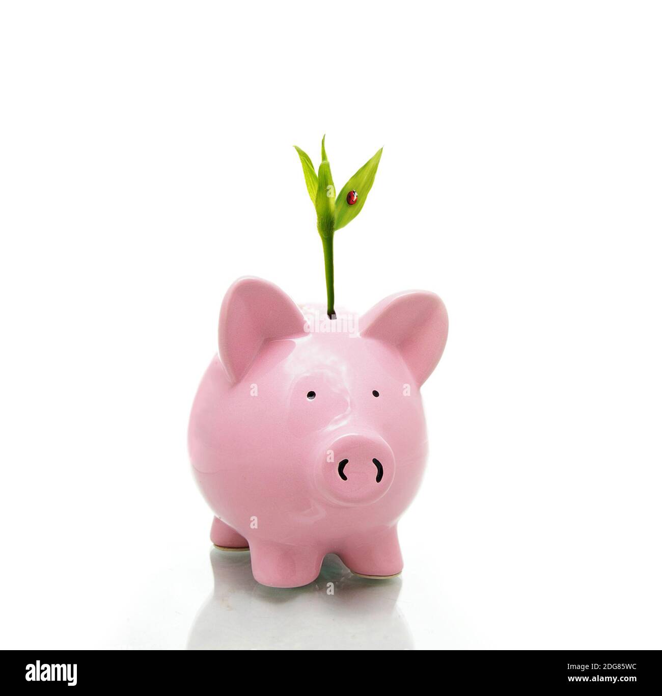 Growth new hi-res stock photography and images - Alamy