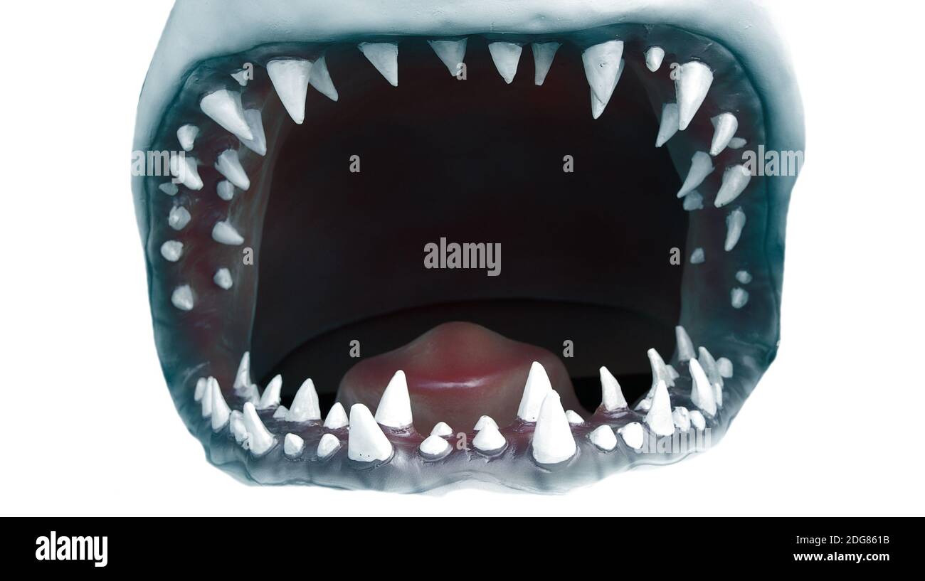 Shark mouth open hi-res stock photography and images - Alamy