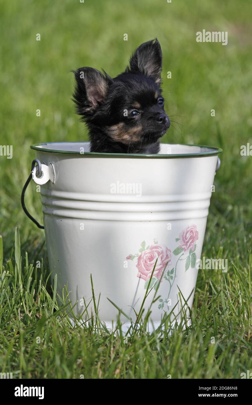 Screwed up hi-res stock photography and images - Alamy