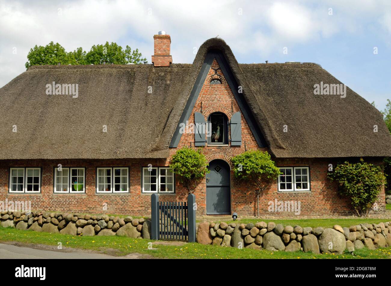 Holstein friesen hi-res stock photography and images - Alamy