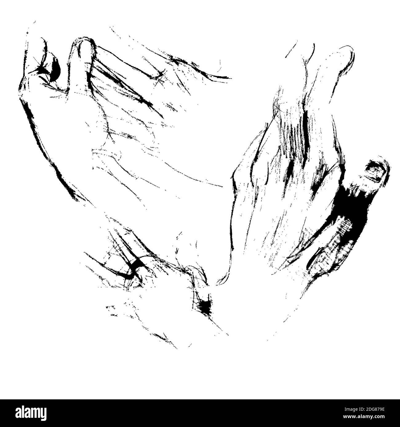 Pencil sketch study human Cut Out Stock Images & Pictures - Alamy