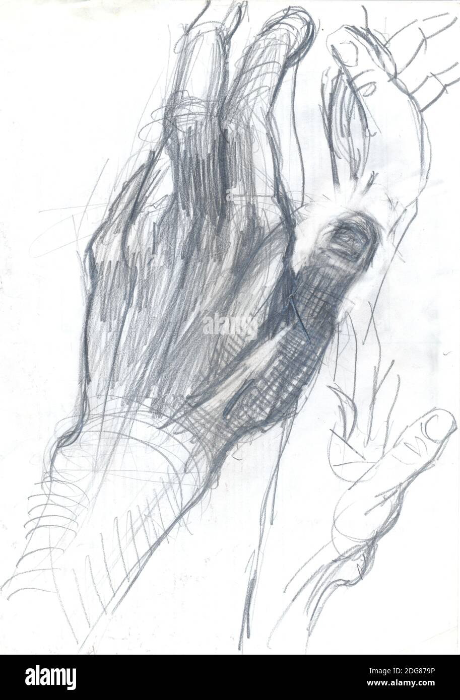 Vintage pencil sketches hi-res stock photography and images - Alamy