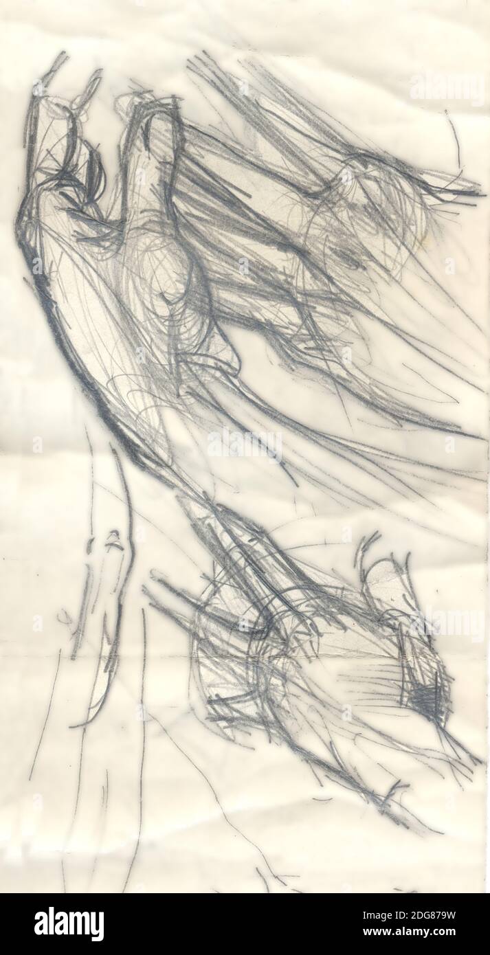 Composition sketch hi-res stock photography and images - Alamy