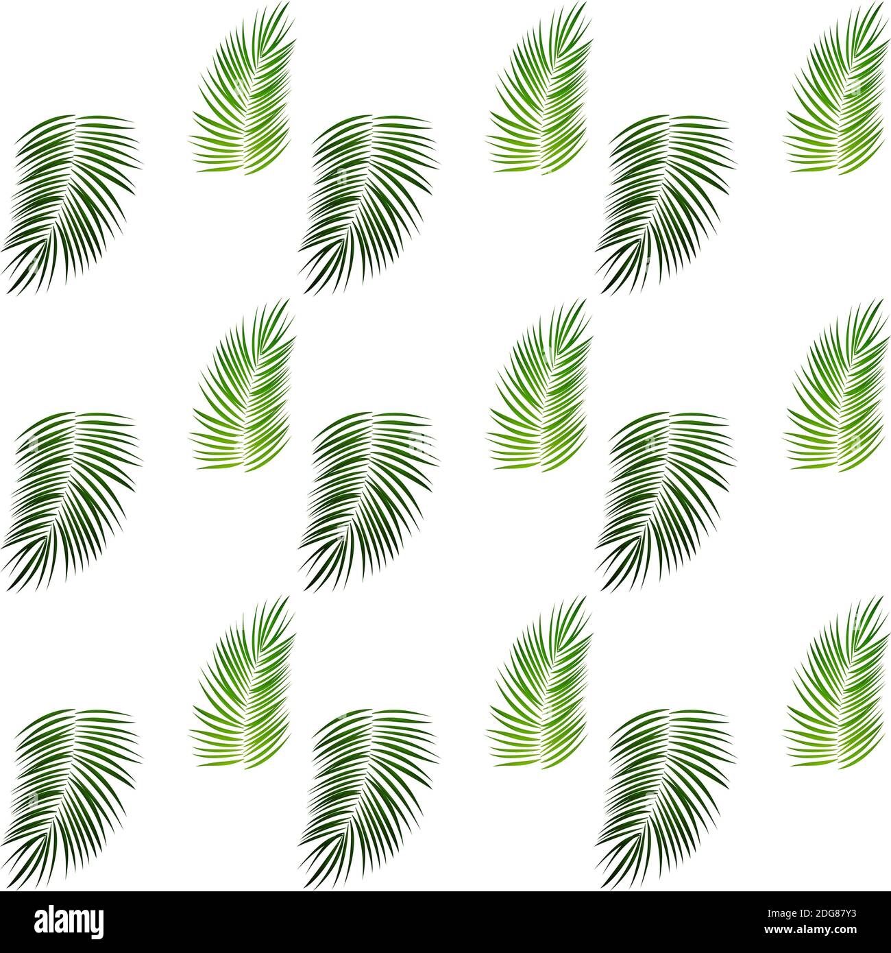 Palm Trees on White Background. Seamless pattern. Illustration Stock ...