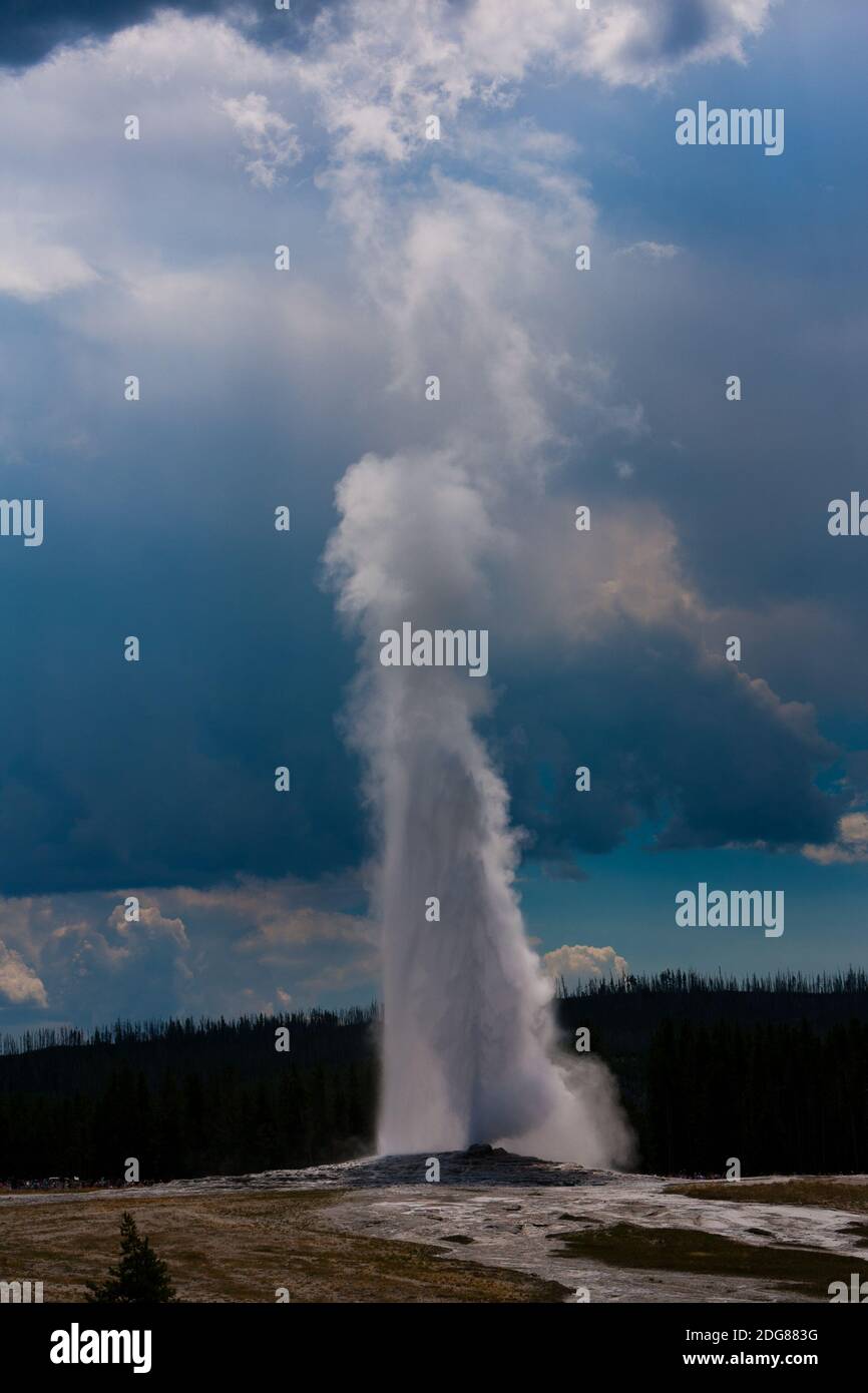 Old Faithful erupts every 60-90 min reaching 106 to 185 ft releasing up ...