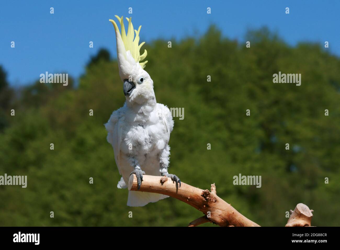 Inclined position hi-res stock photography and images - Alamy